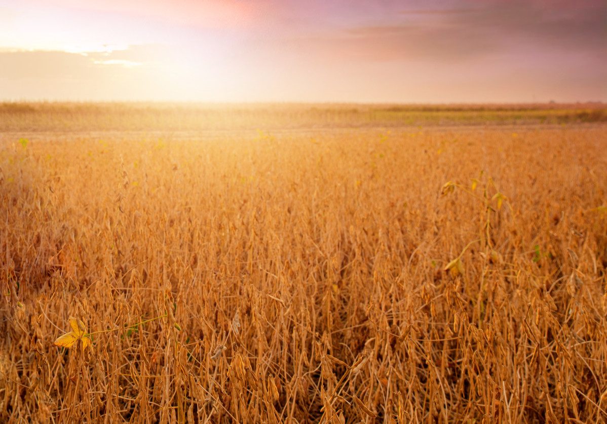 Home - Tenaska Renewables